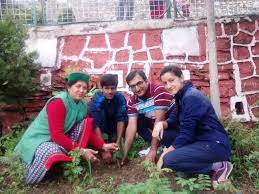 Jawahar Navodaya Vidyalaya ,Morena-extra-curricular-activities