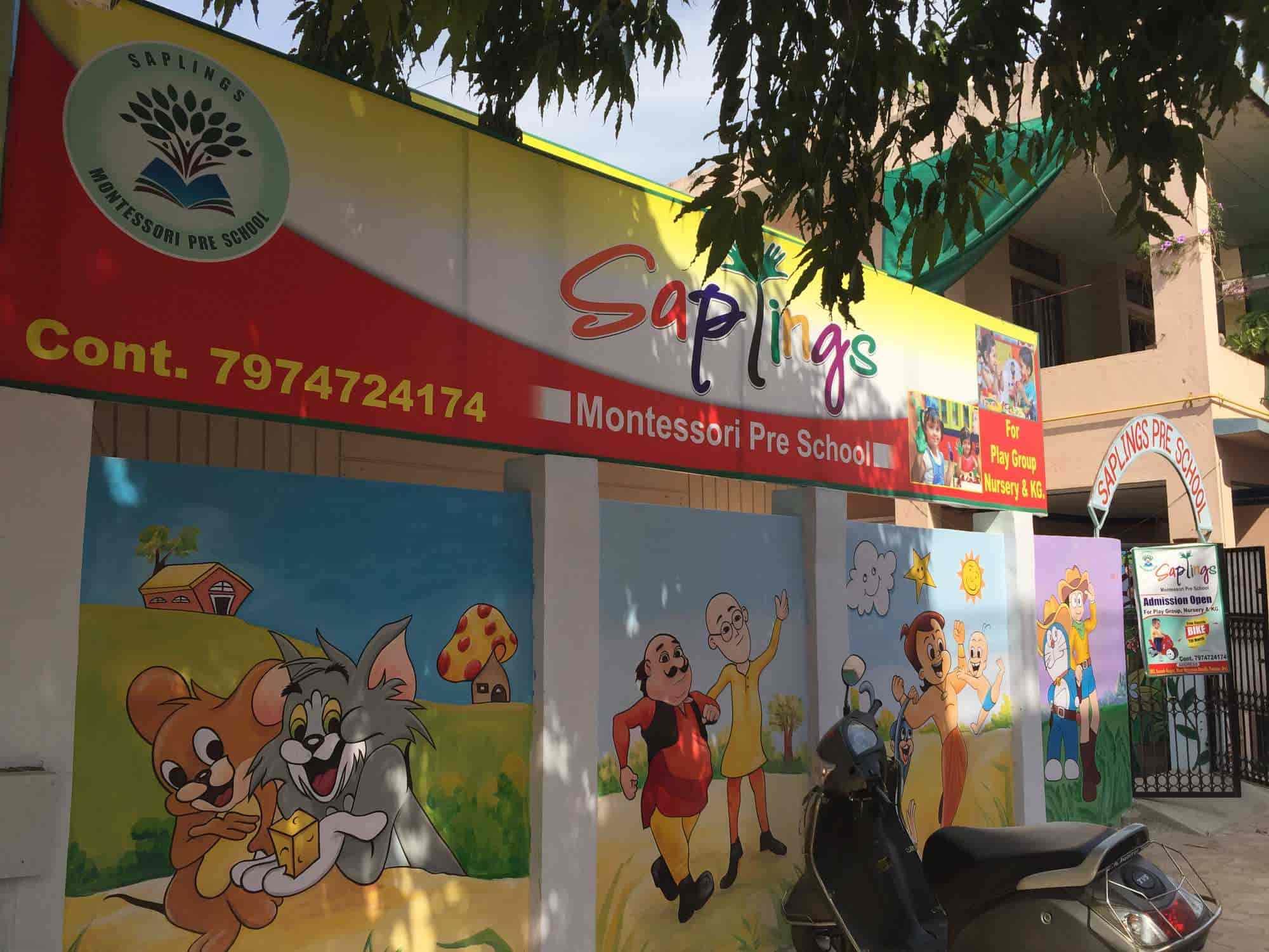 Saplings Montessori Preschool,Gwalior-overview