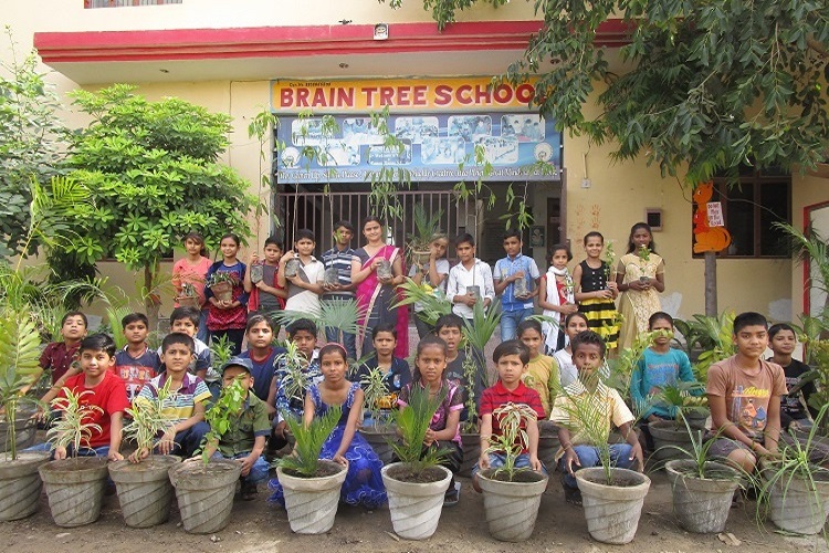 Brain Tree School ,Agra-overview