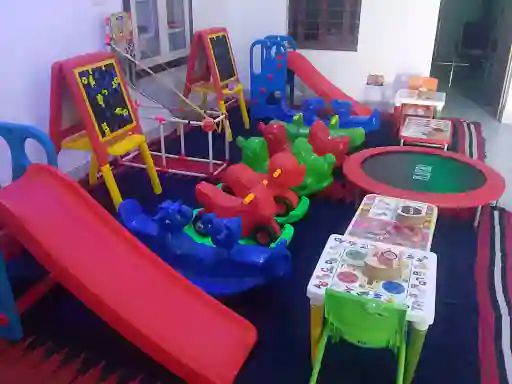 Little Cubs School,Bikaner-overview