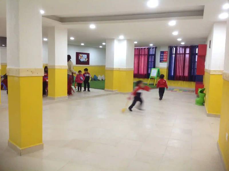 SouthVale The World School ,Solan-overview