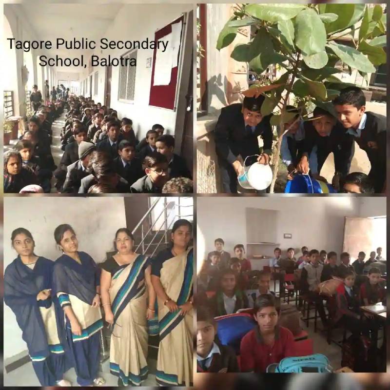 Tagore Public Secondary School ,Barmer-photo-gallery