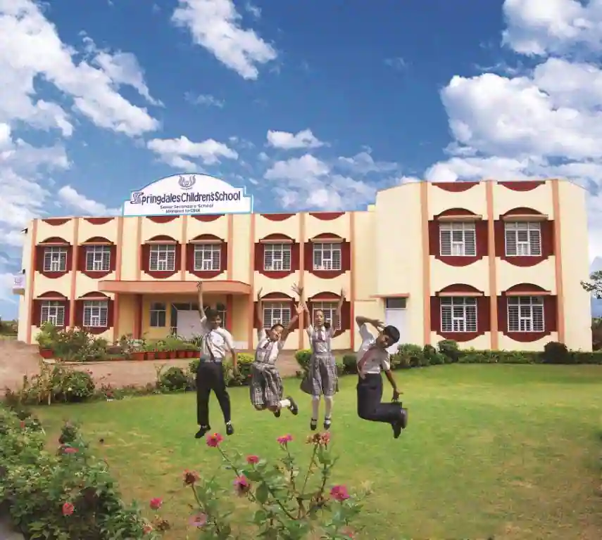 Springdales Childrens School,Kota-overview